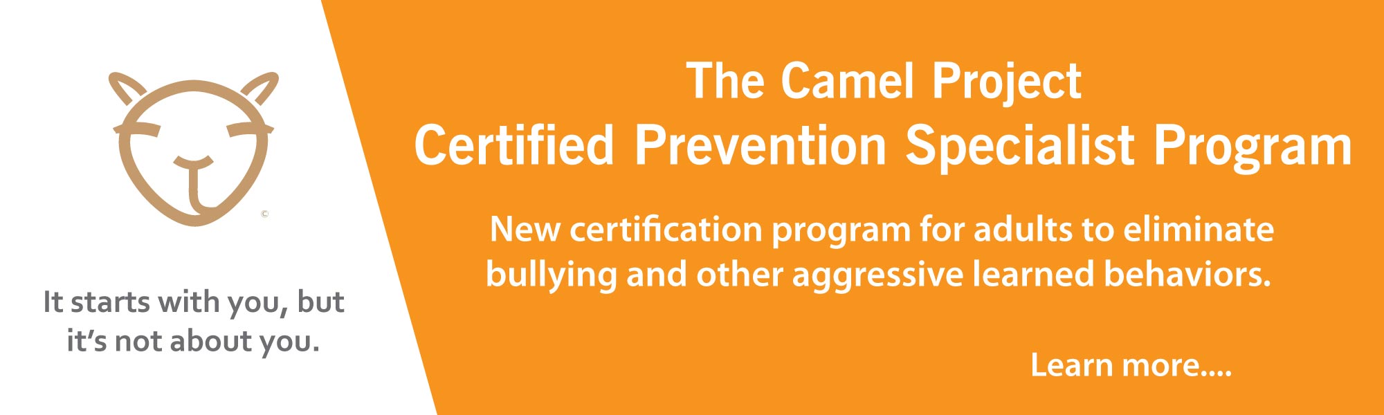 The Camel Project - Stop Bullying! I Care!